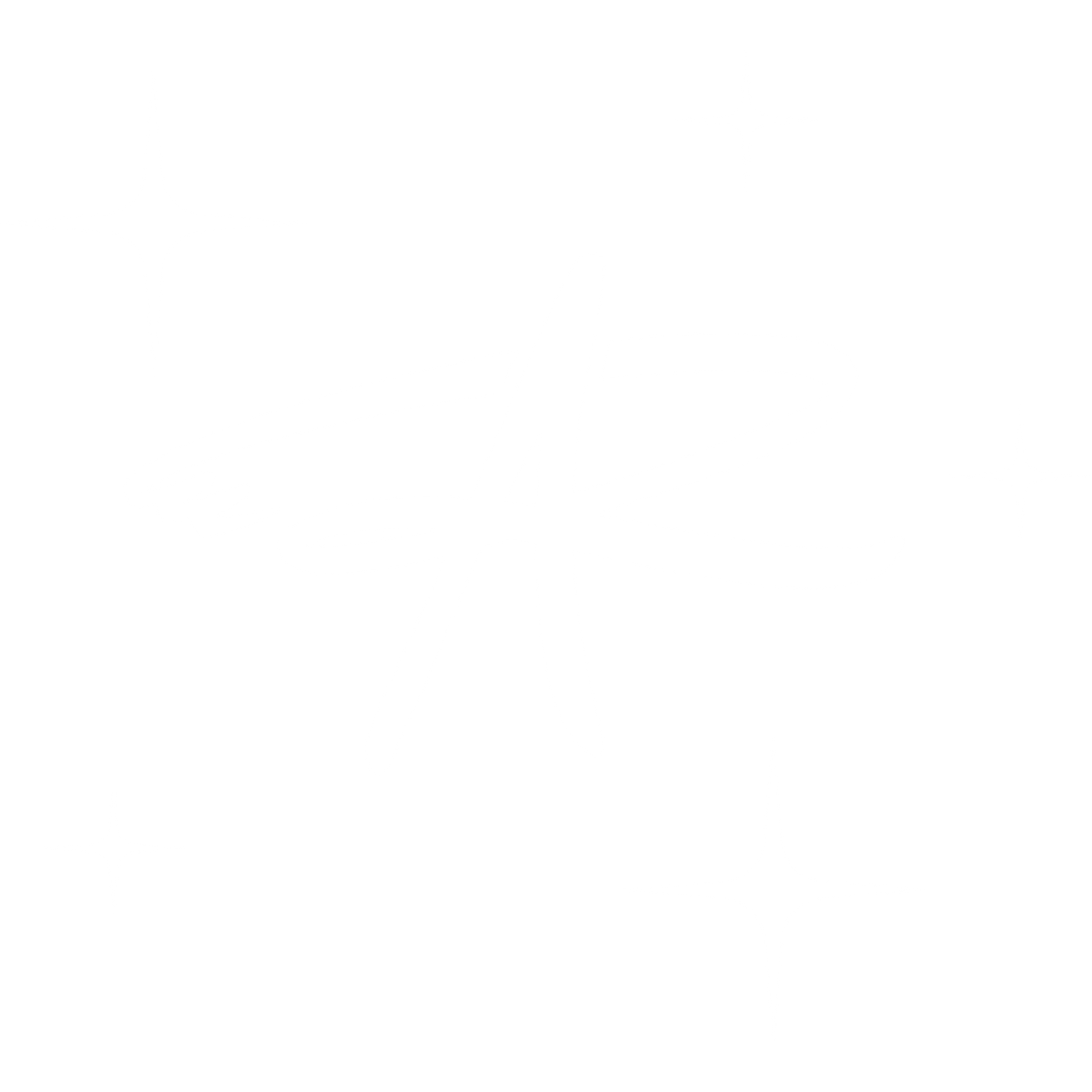 Official Angel Reese Shop