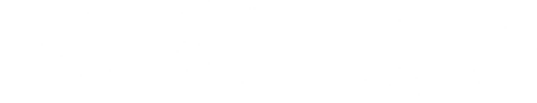 Holiday Shipping Guide – Angel Reese